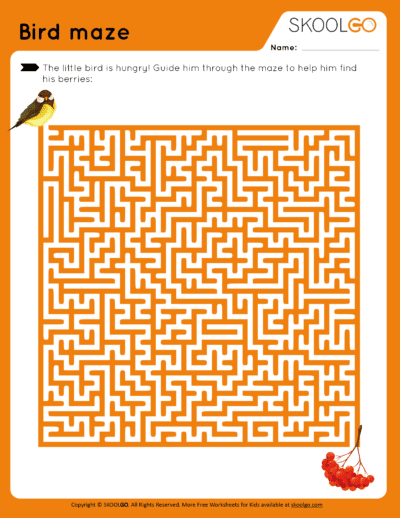 Bird Maze | Free worksheet by SKOOLGO