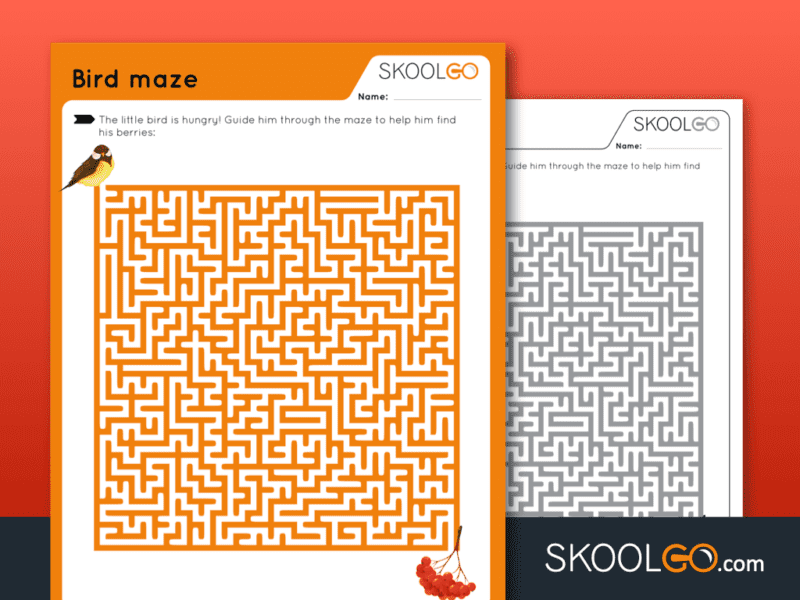 Bird Maze - SKOOLGO