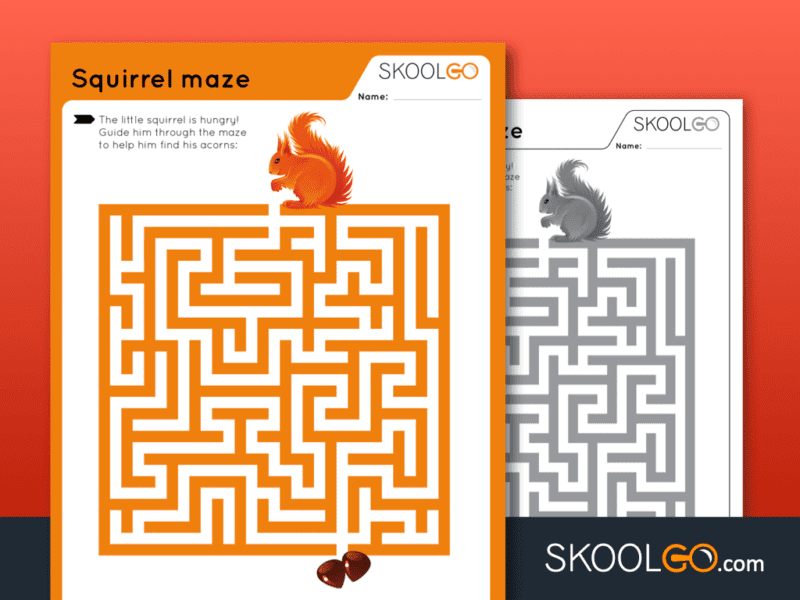 Bird Maze - SKOOLGO