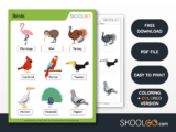 Birds - Free Worksheet - SKOOLGO