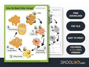 How Do Bees Make Honey? - Free Worksheet - SKOOLGO