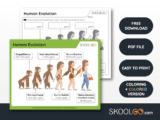 Human Evolution - Free Worksheet - SKOOLGO