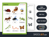 Insects - Free Worksheet - SKOOLGO