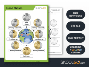 Moon Phases - Free Worksheet - SKOOLGO