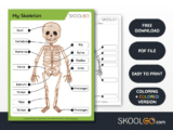 My Skeleton - Free Worksheet - SKOOLGO