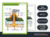 Anatomy of a Volcano - Free worksheet for kids - SKOOLGO