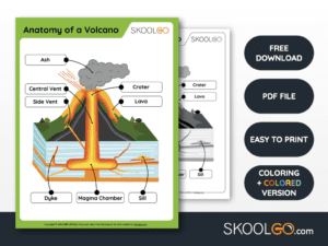 Anatomy of a Volcano - Free worksheet for kids - SKOOLGO