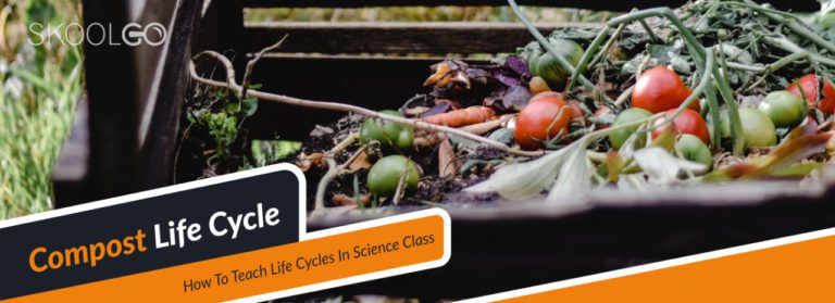How to Teach Life Cycles In Science Class - SKOOLGO Blog