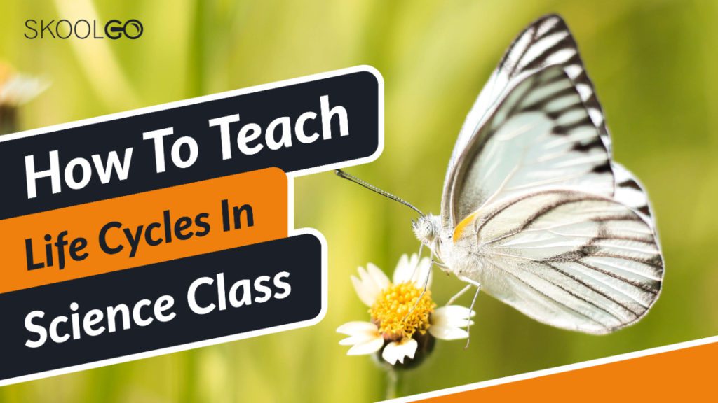 Free Printable Learning and Activity Worksheets | SKOOLGO