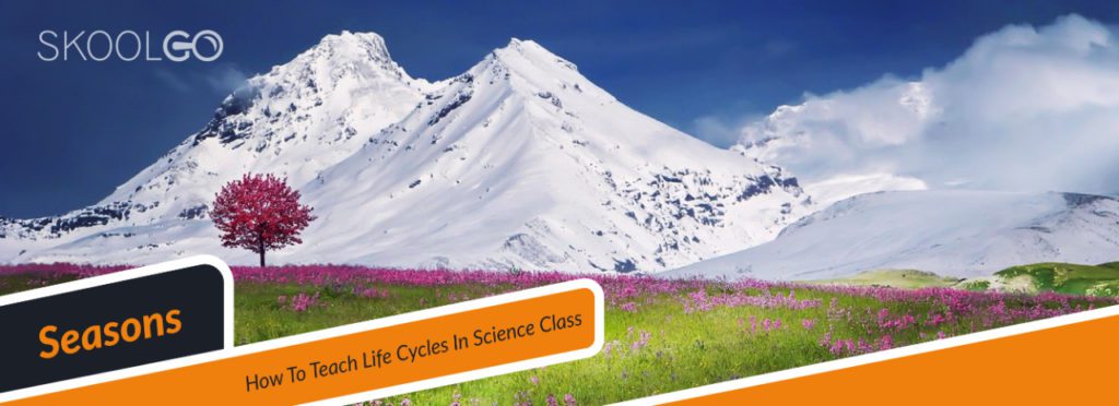 How to Teach Life Cycles In Science Class - SKOOLGO Blog