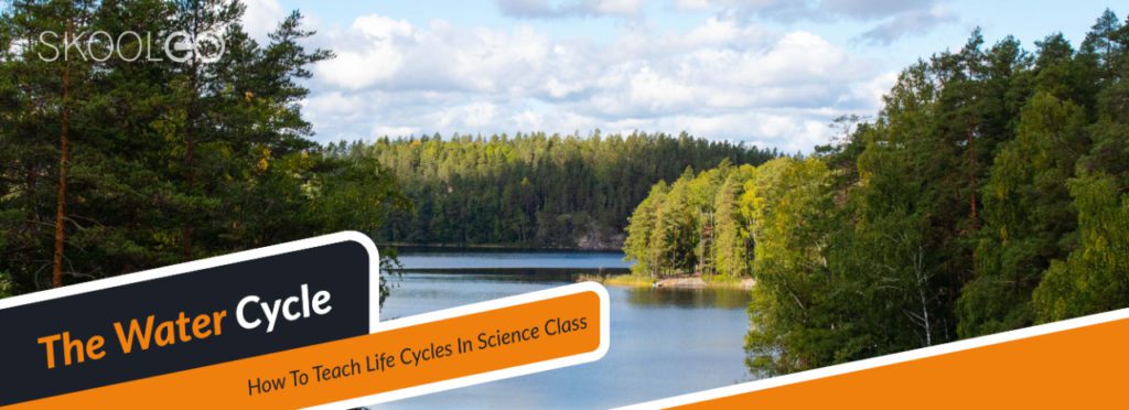 How to Teach Life Cycles In Science Class - SKOOLGO Blog