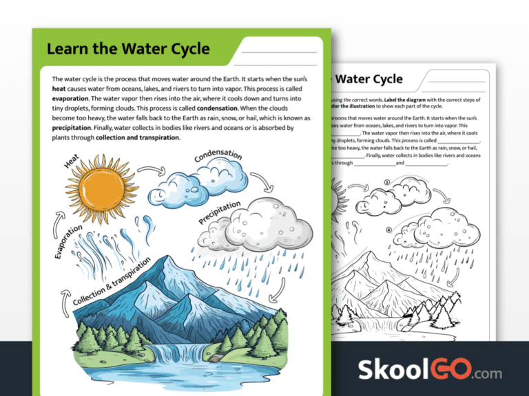 The Water Cycle - Free Worksheet - SKOOLGO