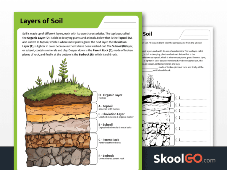 Layers of Soil - SKOOLGO