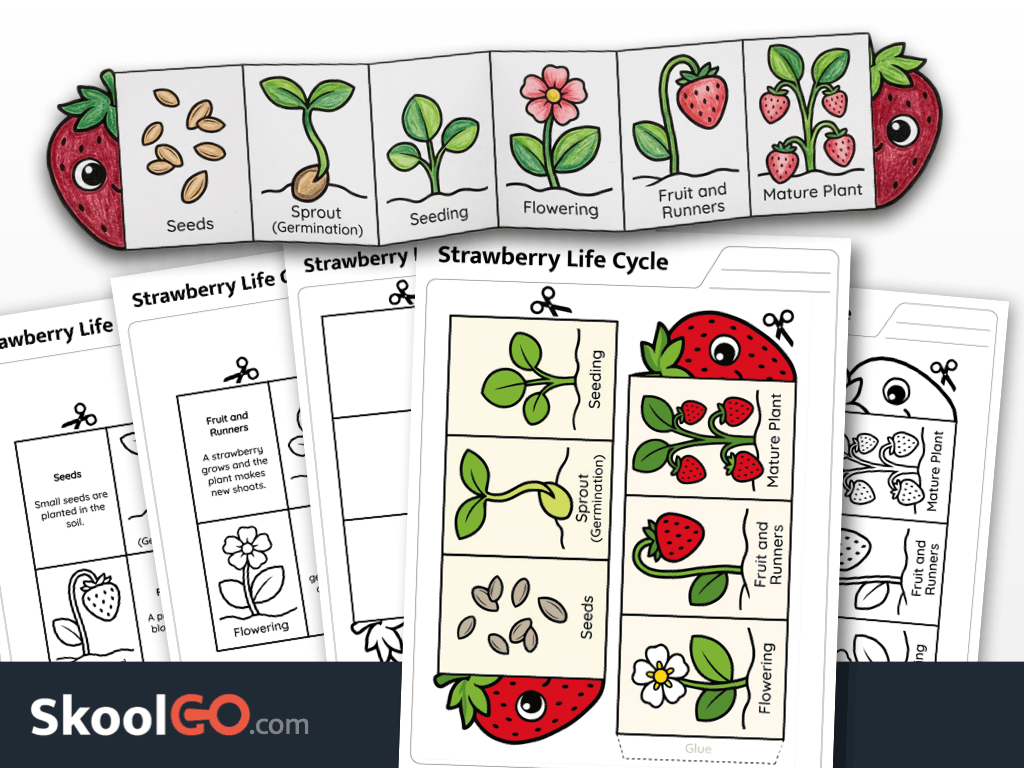Strawberry Life Cycle Cut and Paste Worksheet - SKOOLGO